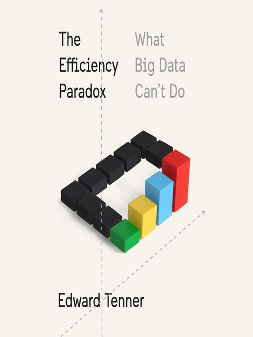 Libby - The Efficiency Paradox