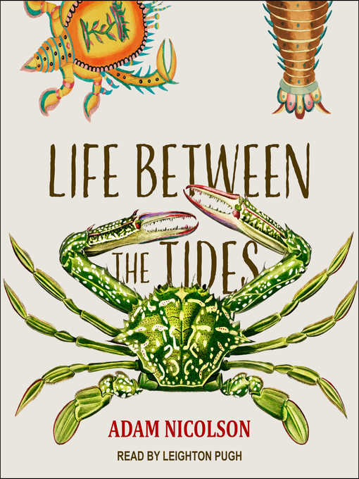 Life Between the Tides | Sno-Isle Libraries | BiblioCommons