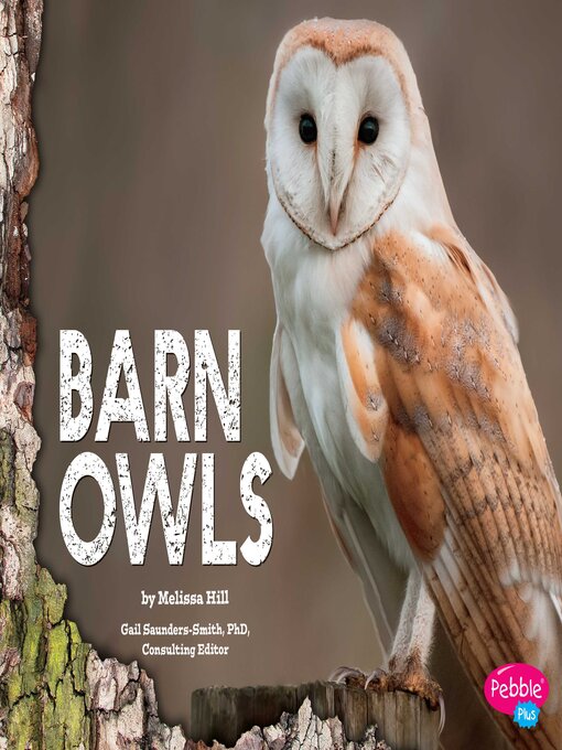 Libby - Barn Owls