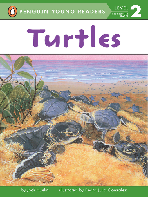 Libby - Turtles