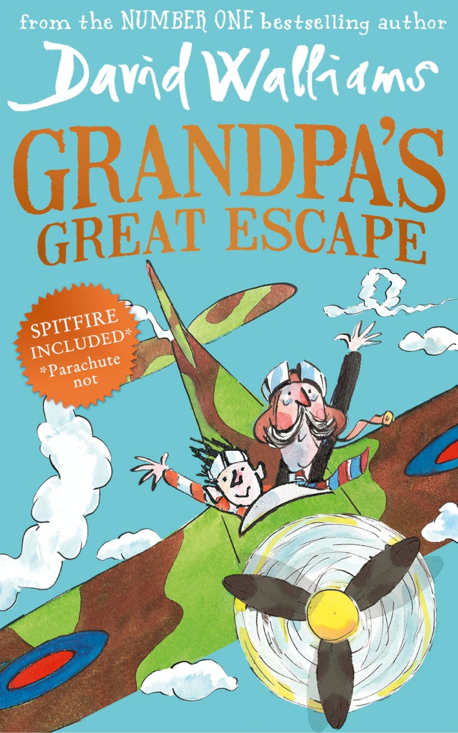 Grandpa's Great Escape - RNIB - Supporting Blind and Partially Sighted ...