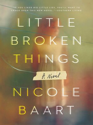 Little Broken Things by Nicole Baart · OverDrive: Free ebooks ...
