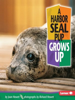 A Harbor Seal Pup Grows Up by Joan Hewett · OverDrive: Free ebooks ...