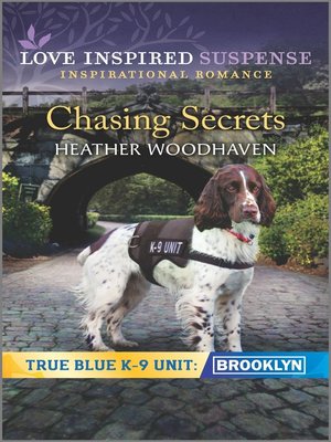 Chasing Secrets by Heather Woodhaven · OverDrive: Free ebooks ...