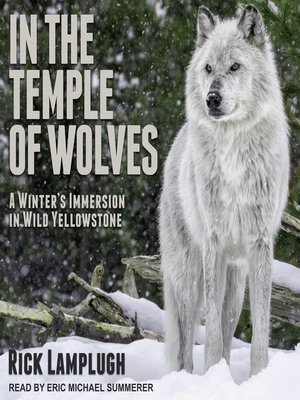 In the Temple of Wolves by Rick Lamplugh · OverDrive: Free ebooks ...