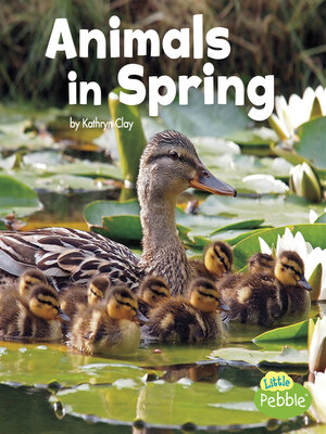 eBook - Animals in Spring by Kathryn Clay · OverDrive: Free ebooks ...