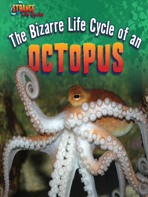 The Bizarre Life Cycle of an Octopus by Therese Shea · OverDrive: Free ...