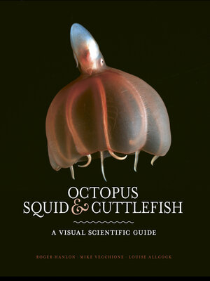 Octopus, Squid & Cuttlefish by Roger Hanlon · OverDrive: Free ebooks ...