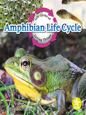 eBook - Amphibian Life Cycle by Tracy Vonder Brink · OverDrive: Free ...