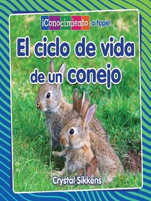 El ciclo de vida de un conejo (The Life Cycle of a Rabbit) by Crystal ...