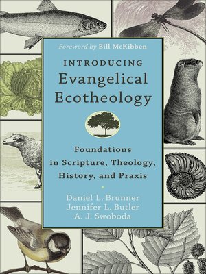 eBook - Introducing Evangelical Ecotheology by Daniel L. Brunner ...