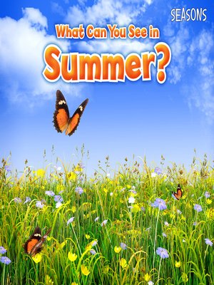 What Can You See In Summer? by Sian Smith · OverDrive: Free ebooks ...