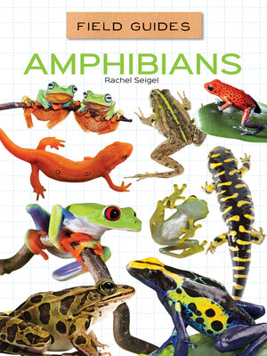 Amphibians by Rachel Seigel · OverDrive: Free ebooks, audiobooks ...