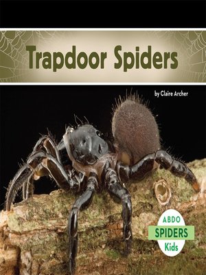 Trapdoor Spiders by Claire Archer · OverDrive: Free ebooks, audiobooks ...