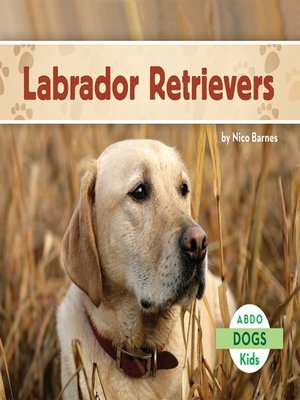 eBook - Labrador Retrievers by Nico Barnes · OverDrive: Free ebooks ...