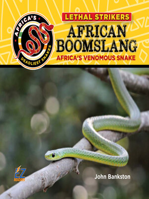 African Boomslang: Africa's Most Venomous Snake by John Bankston ...
