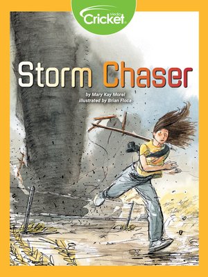 Storm Chaser by Mary Kay Morel · OverDrive: Free ebooks, audiobooks ...
