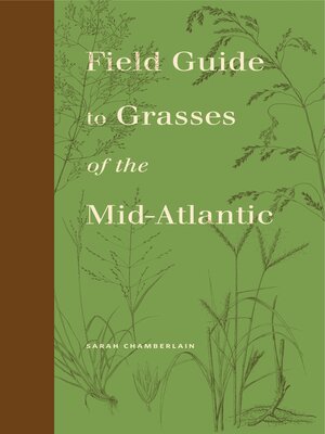 Field Guide to Grasses of the Mid-Atlantic by Sarah Chamberlain ...