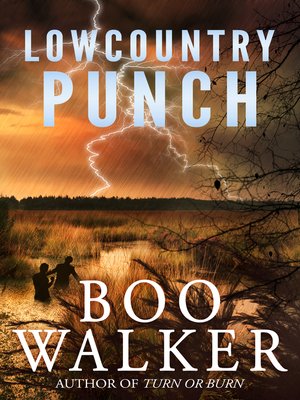 Lowcountry Punch by Boo Walker · OverDrive: Free ebooks, audiobooks ...