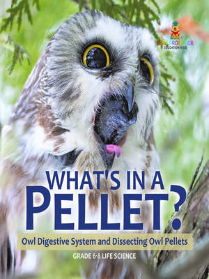 eBook - What's in a Pellet? Owl Digestive System and Dissecting Owl ...