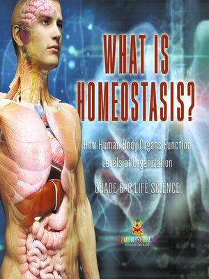 What is Homeostasis? How Human Body Organs Function | Levels of ...