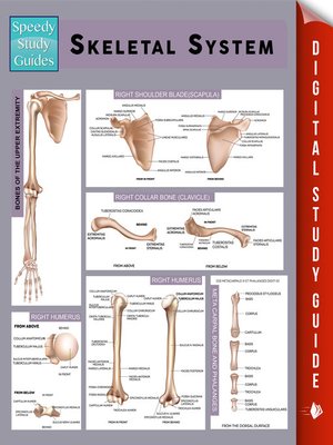 Skeletal System by Speedy Publishing · OverDrive: Free ebooks ...