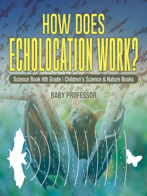 How Does Echolocation Work? Science Book 4th Grade--Children's Science ...