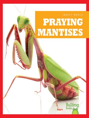 eBook - Praying Mantises by Mari Schuh · OverDrive: Free ebooks ...