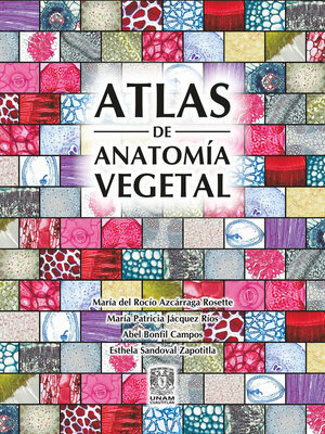 Atlas de anatomía vegetal by María del Rocío Azcárraga Rosette ...