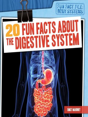Top 25 fun facts about the digestive system: fun facts about digestive ...