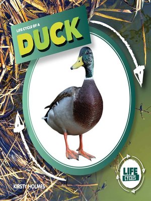 Life Cycle of a Duck by Kirsty Holmes · OverDrive: ebooks, audiobooks ...
