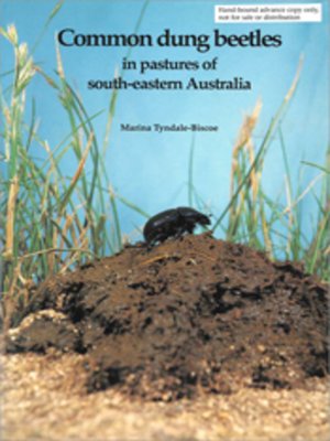 eBook - Common Dung Beetles in Pastures of South-eastern Australia by M ...